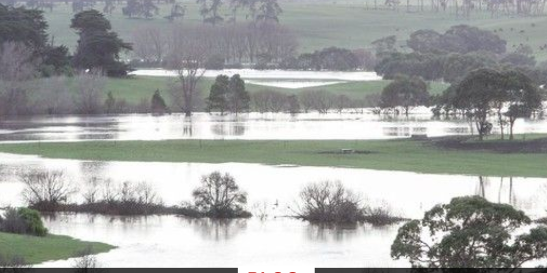 Building in Waterlogged Areas: Structural Risks You Can’t Ignore – Home ...